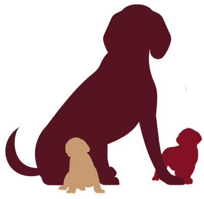 Veterinarian in Brandon, MS | Brandon Animal Hospital